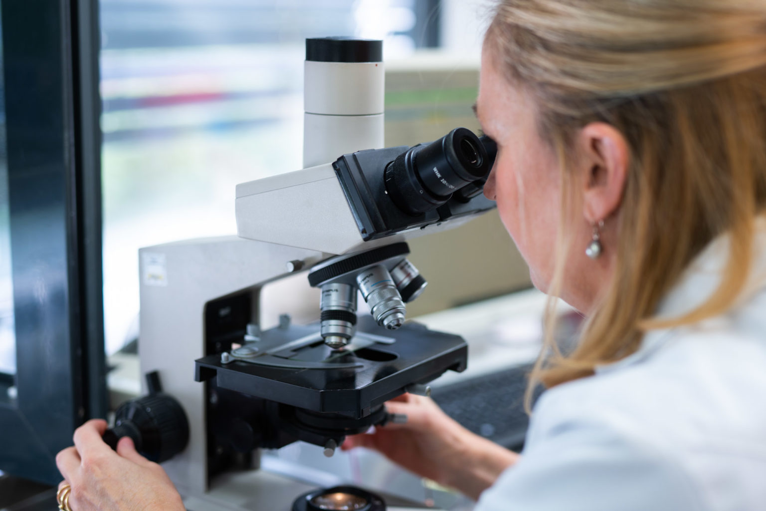 Spermiogramm im Labor erstellen lassen